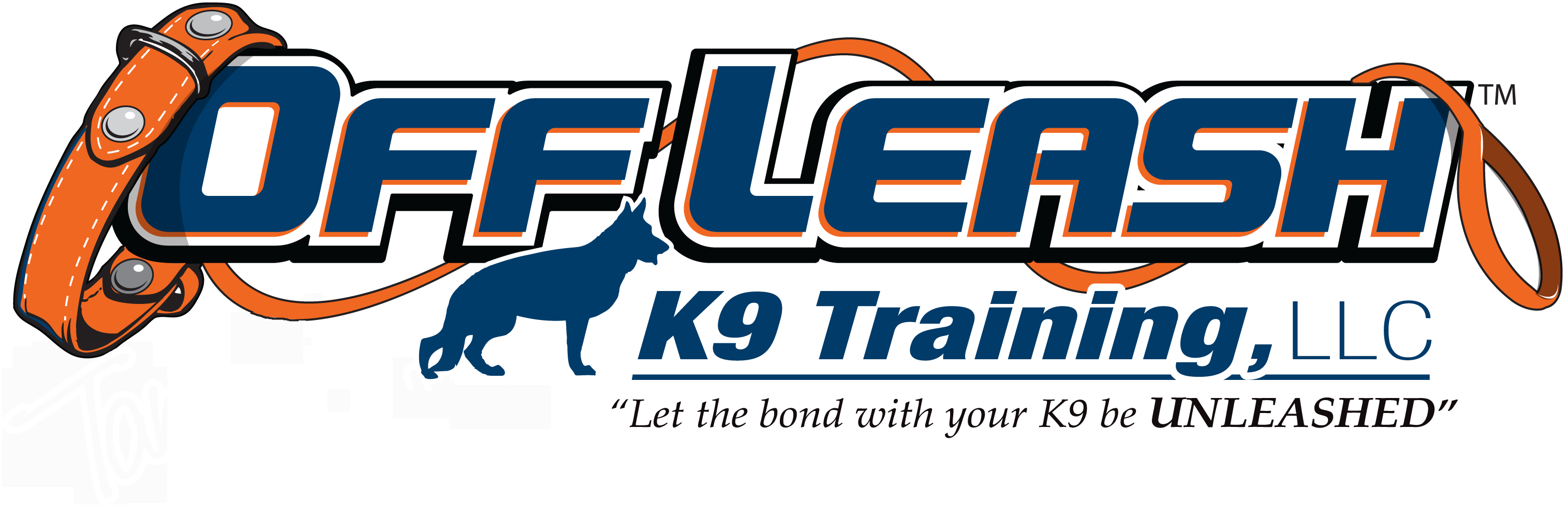 Celebrity Dog Trainer Celebrity Dog Obedience Training Dog Trainer 
